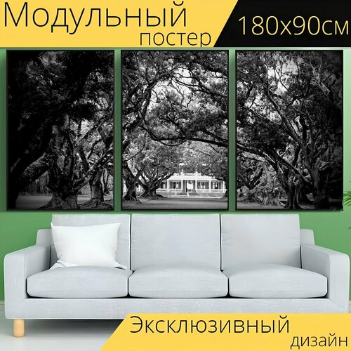 Модульный постер "Черно белые фото, деревья, темный" 180 x 90 см. для интерьера