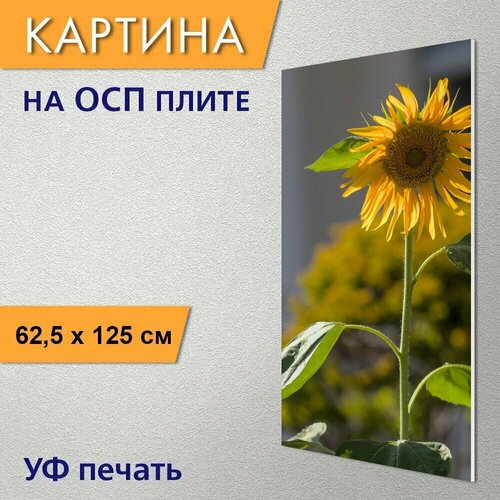 Вертикальная картина на ОСП "Подсолнечник, цветок, завод" 62x125 см. для интерьериа