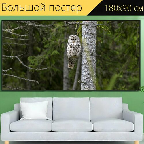 Большой постер "Уральская сова, сова, птица" 180 x 90 см. для интерьера