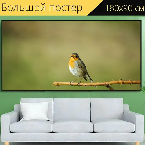 Большой постер "Робин, птица, певчая птица" 180 x 90 см. для интерьера