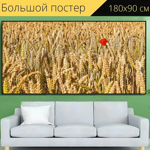Большой постер "Мак, кукурузное поле, кукурузный мак" 180 x 90 см. для интерьера