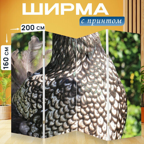 Ширма перегородка с принтом "Курица, домашняя птица, животное" на холсте - 200x160 см. для зонирования, раскладная