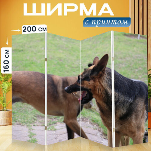 Ширма перегородка с принтом "Собака, домашний питомец, сердитый" на холсте - 200x160 см. для зонирования, раскладная