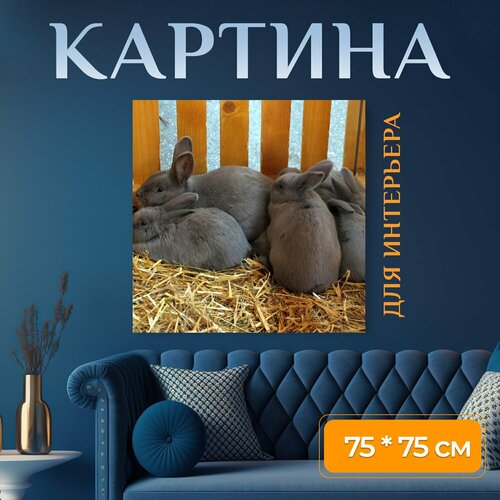 Картина на холсте "Кролики, пасхальный заяц, животное" на подрамнике 75х75 см. для интерьера