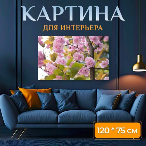Картина на холсте "Цветение вишни, розовые цветы, цветы" на подрамнике 120х75 см. для интерьера