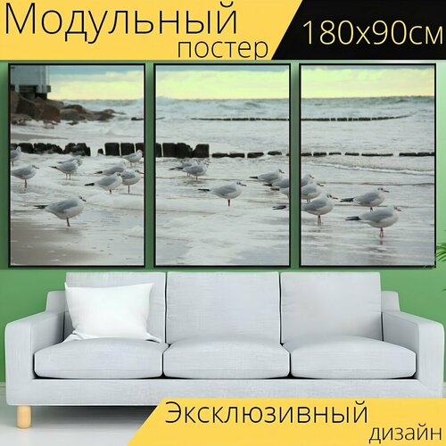 Модульный постер "Чайки, море, пляж" 180 x 90 см. для интерьера