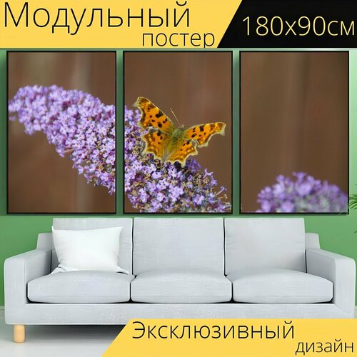 Модульный постер "Бабочка, цветок, опыление" 180 x 90 см. для интерьера