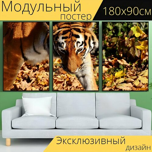Модульный постер "Тигр, хищник, прятаться" 180 x 90 см. для интерьера