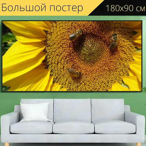 Большой постер "Подсолнух, летом, пчелы" 180 x 90 см. для интерьера