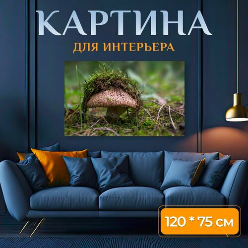 Картина на холсте "Гриб, лес, грибные шляпки" на подрамнике 120х75 см. для интерьера