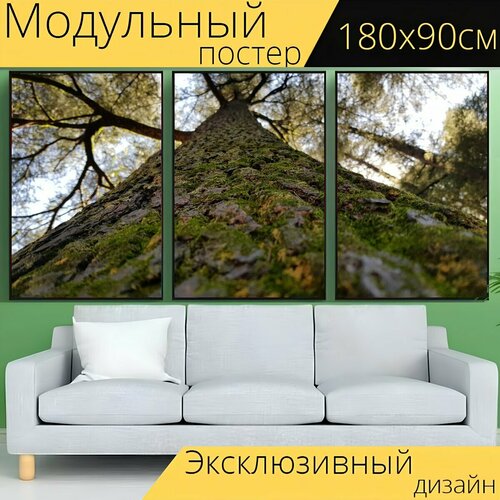 Модульный постер "Дерево, небо, природа" 180 x 90 см. для интерьера