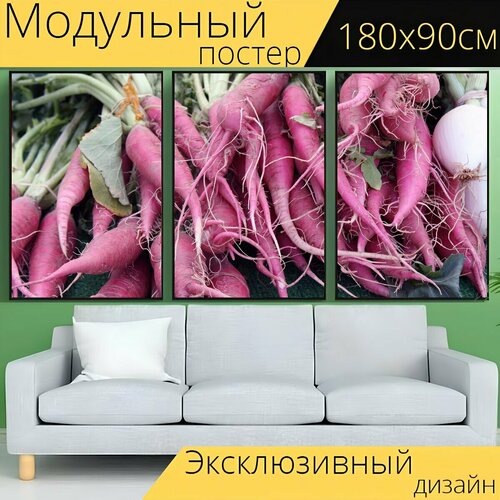 Модульный постер "Морковь, пастернак, фермеры" 180 x 90 см. для интерьера