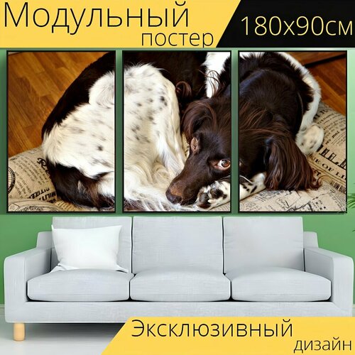 Модульный постер "Собака, животное, домашнее животное" 180 x 90 см. для интерьера