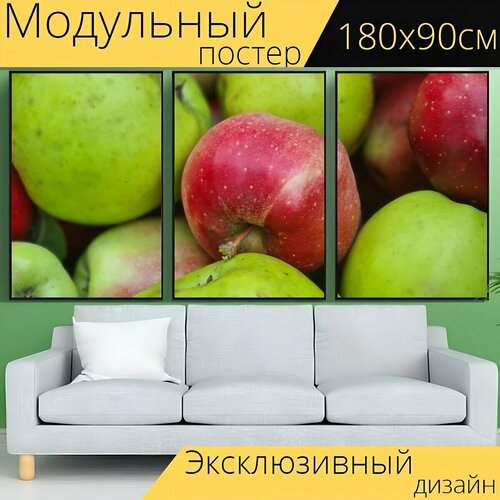 Модульный постер "Яблоки, фрукты, еда" 180 x 90 см. для интерьера