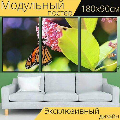 Модульный постер "Бабочка монарх, насекомое, молочая" 180 x 90 см. для интерьера