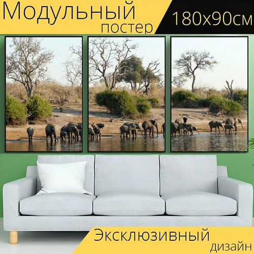 Модульный постер "Ботсвана, стадо слонов, чобе" 180 x 90 см. для интерьера