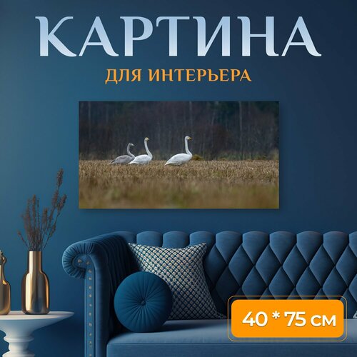 Картина на холсте "Кликунов, птицы, поле" на подрамнике 75х40 см. для интерьера