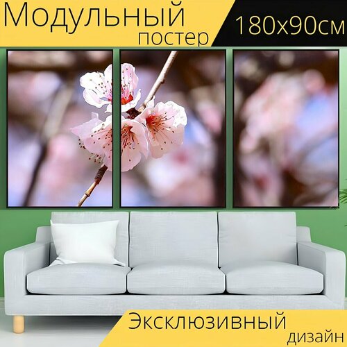 Модульный постер "Весна, сакура, цвести" 180 x 90 см. для интерьера