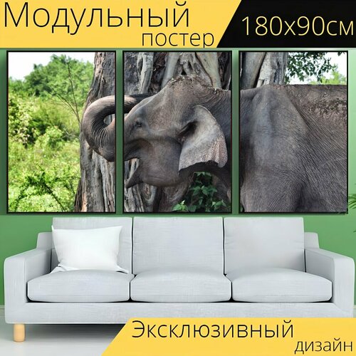Модульный постер "Слон, шри ланка, дикая природа" 180 x 90 см. для интерьера