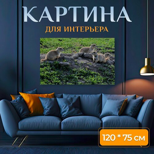 Картина на холсте "Луговые собачки, дикая природа, природа" на подрамнике 120х75 см. для интерьера
