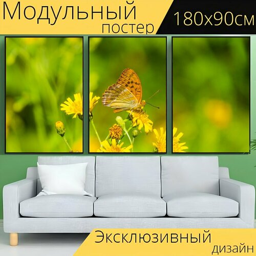Модульный постер "Бабочка, летний день, солнечный" 180 x 90 см. для интерьера