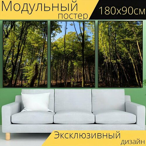 Модульный постер "Лес, деревья, солнце" 180 x 90 см. для интерьера