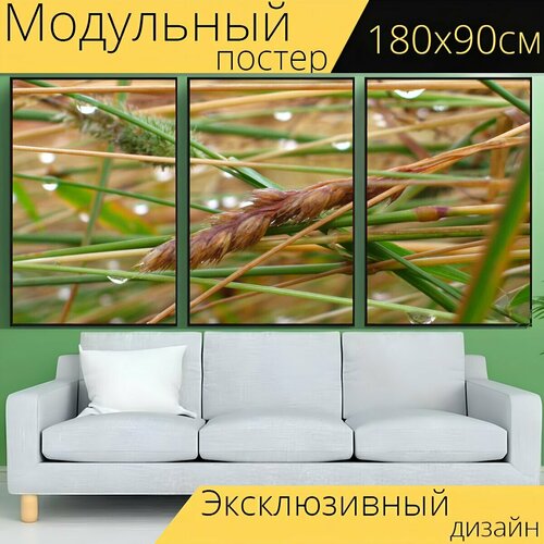 Модульный постер "Трава, луг, летом" 180 x 90 см. для интерьера