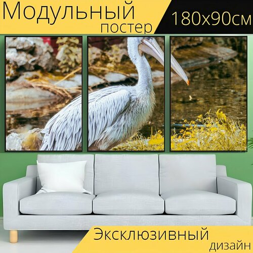Модульный постер "Птица, пеликан, клюв" 180 x 90 см. для интерьера