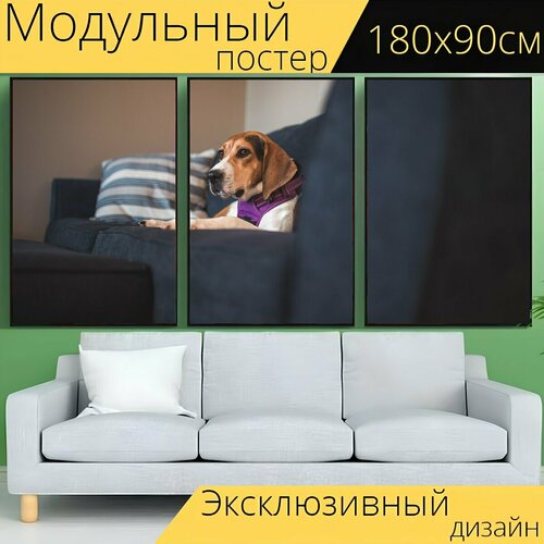 Модульный постер "Гончая, собачий, животное" 180 x 90 см. для интерьера
