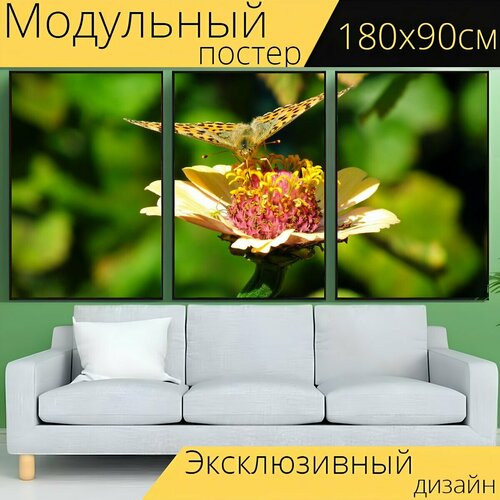 Модульный постер "Рябчик, бабочка, цветок" 180 x 90 см. для интерьера