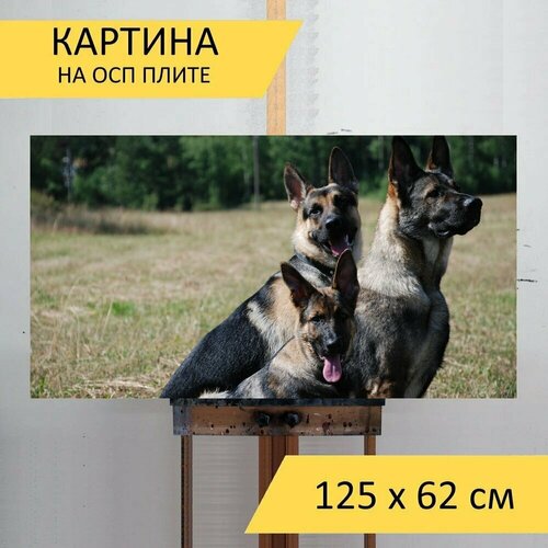 Картина на ОСП 125х62 см. "Собака, животные, домашний питомец" горизонтальная, для интерьера, с креплениями