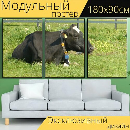 Модульный постер "Корова, пастбище, весна" 180 x 90 см. для интерьера