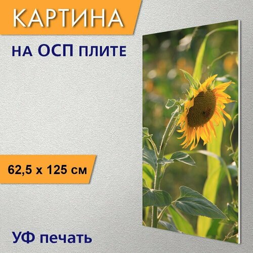 Вертикальная картина на ОСП "Цветы, подсолнечник, солнце" 62x125 см. для интерьериа