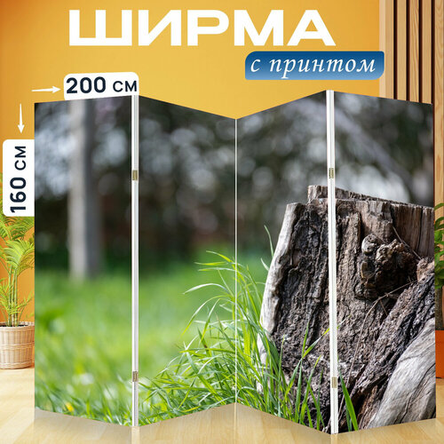 Ширма перегородка с принтом "Трава, пень, природа" на холсте - 200x160 см. для зонирования, раскладная
