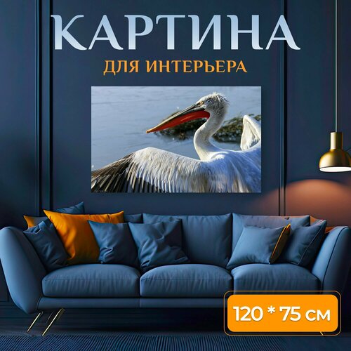 Картина на холсте "Карась пеликан, пеликан, водоплавающих птиц" на подрамнике 120х75 см. для интерьера