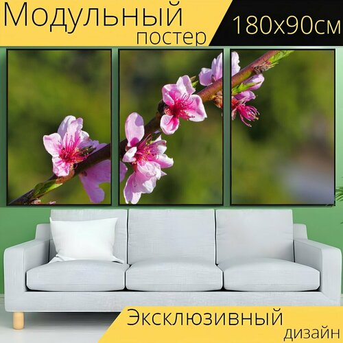 Модульный постер "Персик, цветы, весна" 180 x 90 см. для интерьера
