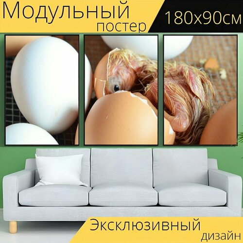Модульный постер "Цыпленок, люк, яйцо" 180 x 90 см. для интерьера