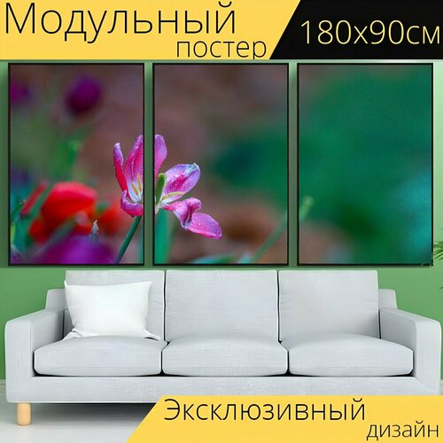 Модульный постер "Тюльпан, цветок, сад" 180 x 90 см. для интерьера