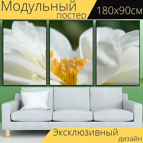 Модульный постер "Цветок, белый, желтый" 180 x 90 см. для интерьера