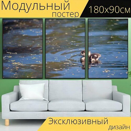 Модульный постер "Гусь, нильский гусь, птица" 180 x 90 см. для интерьера