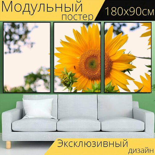 Модульный постер "Солнечный цветок, цветок, лепестки" 180 x 90 см. для интерьера