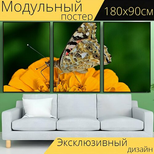 Модульный постер "Бабочка, маленькая лиса, цинния" 180 x 90 см. для интерьера