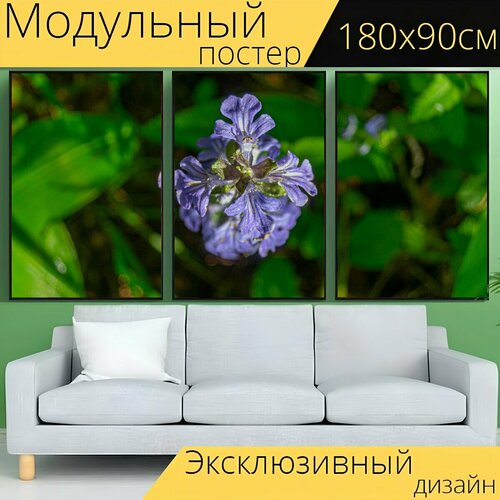 Модульный постер "Цветок, синий, природа" 180 x 90 см. для интерьера