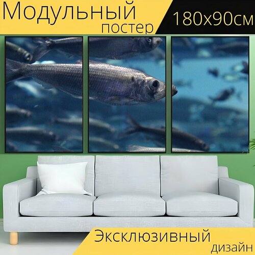 Модульный постер "Рыбы, океан, море" 180 x 90 см. для интерьера