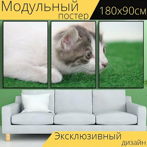 Модульный постер "Кошка, котенок, бездомная кошка" 180 x 90 см. для интерьера
