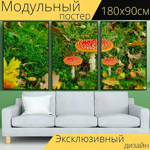 Модульный постер "Природа, гриб, лес" 180 x 90 см. для интерьера