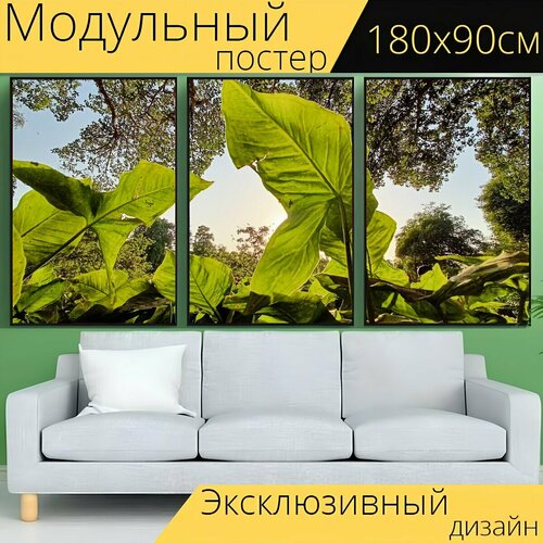 Модульный постер "Зеленые листья, деревья, небо" 180 x 90 см. для интерьера