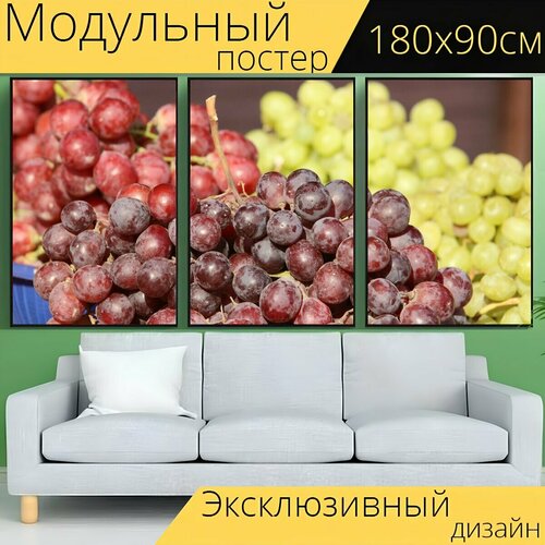 Модульный постер "Еда, фрукты, овощ" 180 x 90 см. для интерьера