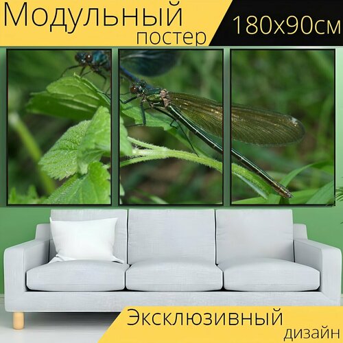Модульный постер "Стрекоза, насекомое, природа" 180 x 90 см. для интерьера