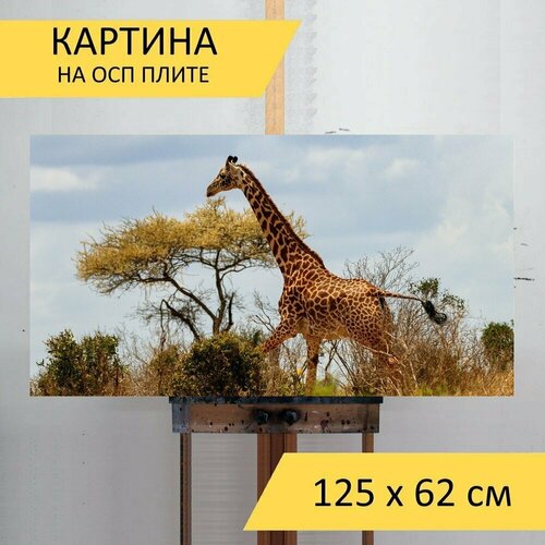 Картина на ОСП 125х62 см. "Жирафа, африке, кения" горизонтальная, для интерьера, с креплениями